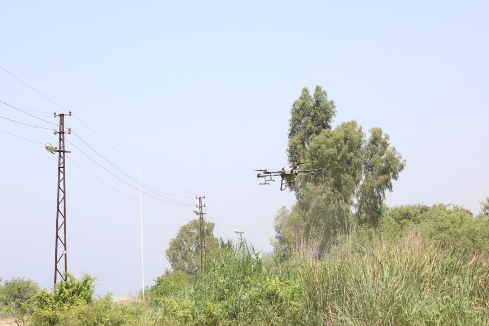 Sinek ve haşerelere karşı 229 hektar alan dron ile ilaçlandı ...